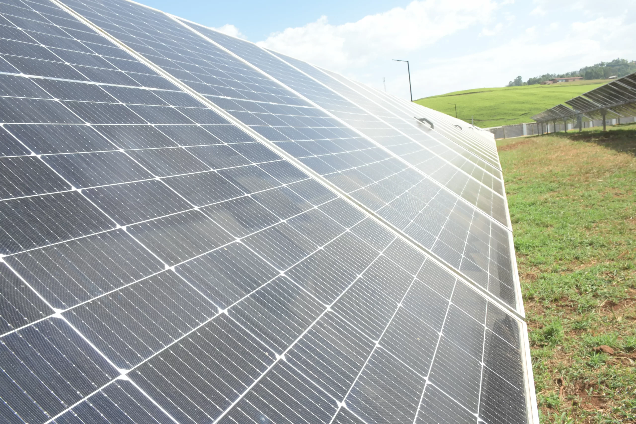 How Kenyan tea factories are chasing the green-economy strategy - Tidal ...